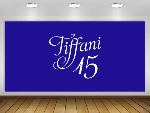 Painel 15 anos festa debutante | Vitrine Artesanou